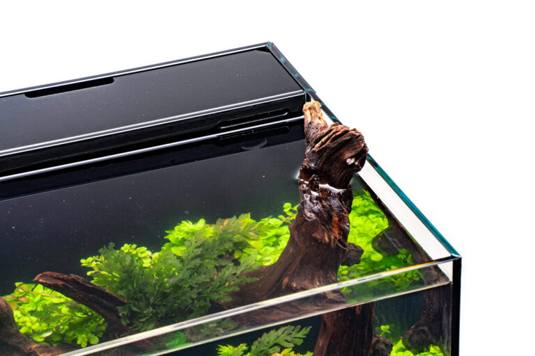 Dual All-In-One Aquarium – Ultum Nature Systems