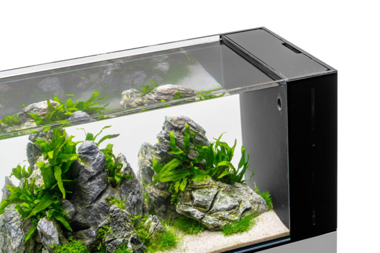 Dual All-In-One Aquarium – Ultum Nature Systems